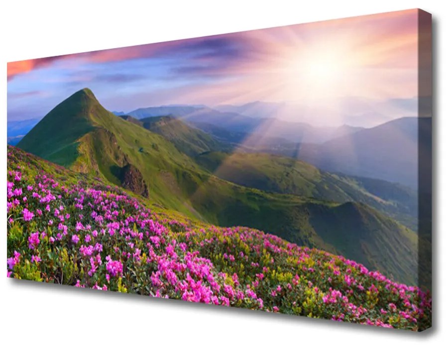 Obraz na plátně Hory Louka Květiny Krajina 120x60 cm