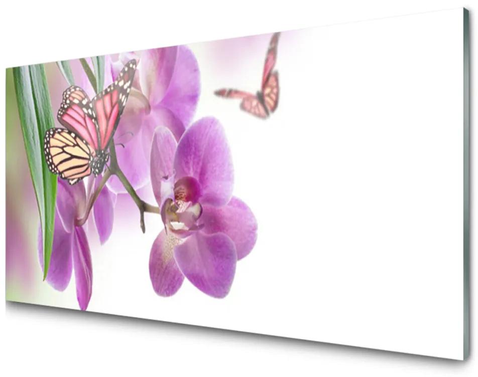 Plexisklo obraz Motýli Květiny Příroda