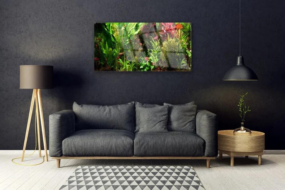 Obraz na skle Rostlina Květiny Příroda 120x60 cm