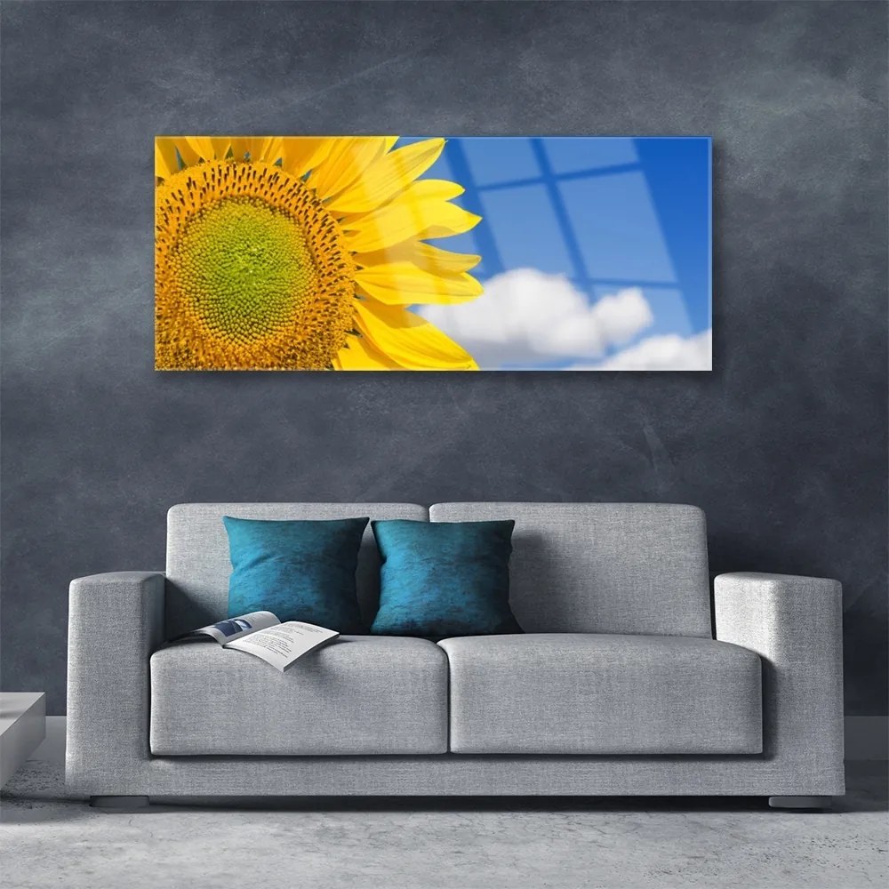 akrylový obraz Slunečnice Mraky 125x50 cm