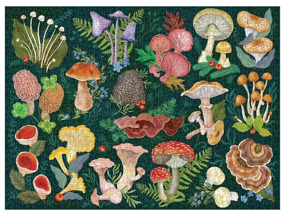 Galison Puzzle Svět hub 1000 dílků