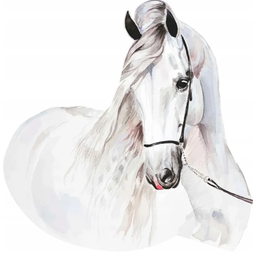 Samolepka na zeď s motivem bílého koně 120 x 120 cm