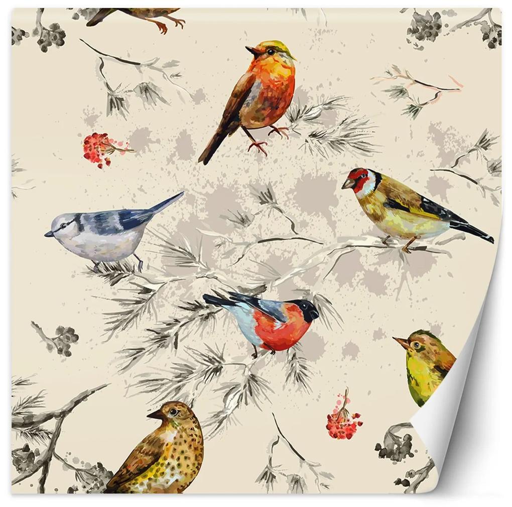 Gario Fototapeta Barevní ptáci malovaní akvarelem Materiál: Vliesová, Rozměry: 100 x 100 cm