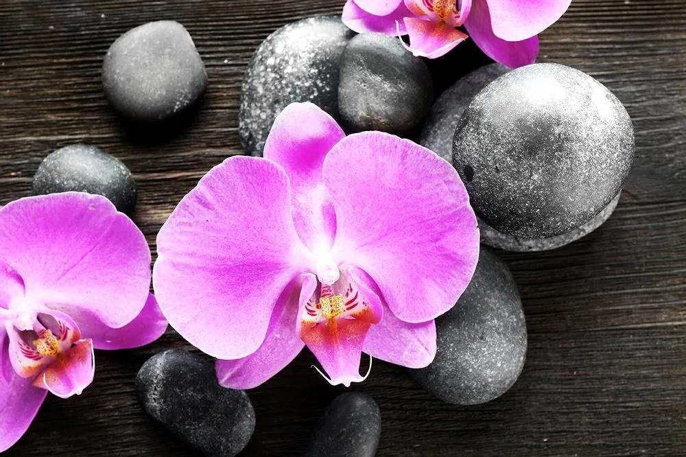 Samolepící fototapeta nádherná orchidej a kameny - 300x200 cm