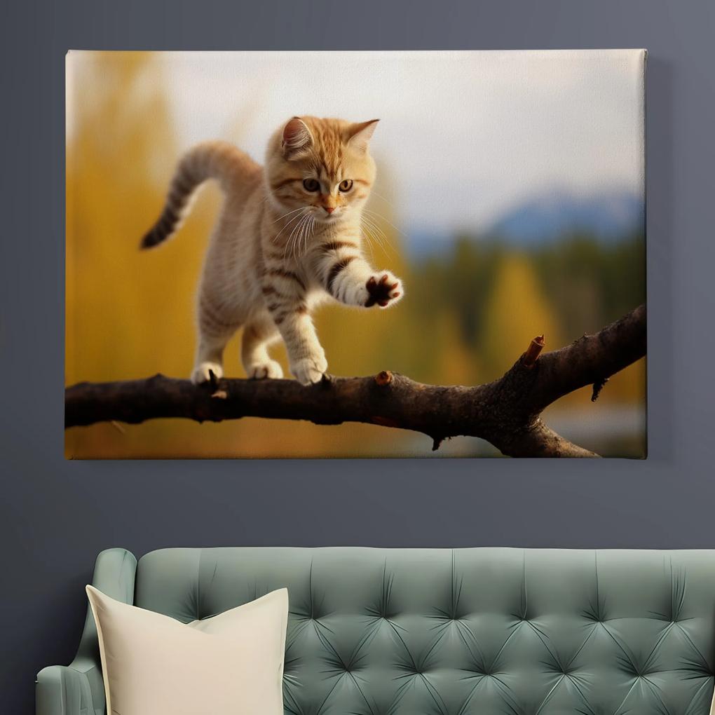 Obraz na plátně - Mladá kočka balancuje na hraně FeelHappy.cz Velikost obrazu: 120 x 80 cm