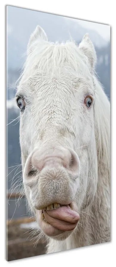 Wallmuralia Fotoobraz na skle Šílený bílý kůň 50x125 cm