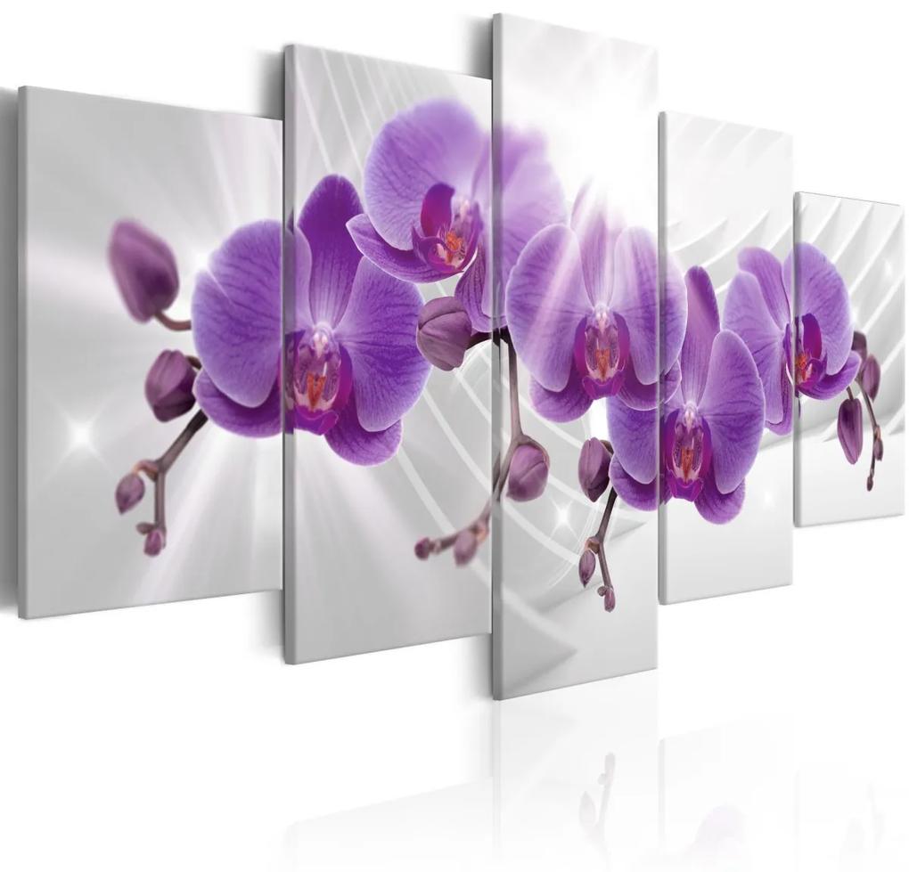 Pětidílné obrazy - fialová orchidej (200x100 cm) - Murando DeLuxe
