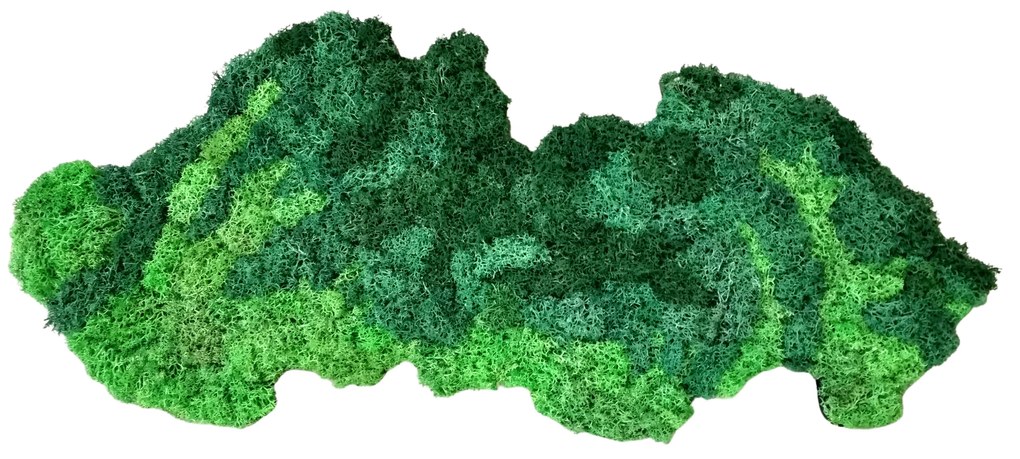 WOODILO Mapa ze sobího mechu "Špendlíky v mechu" SLOVENSKO| turistická Barva podkladové desky: Bílá, Základní edice špendlíků: Mapa bez špendlíků