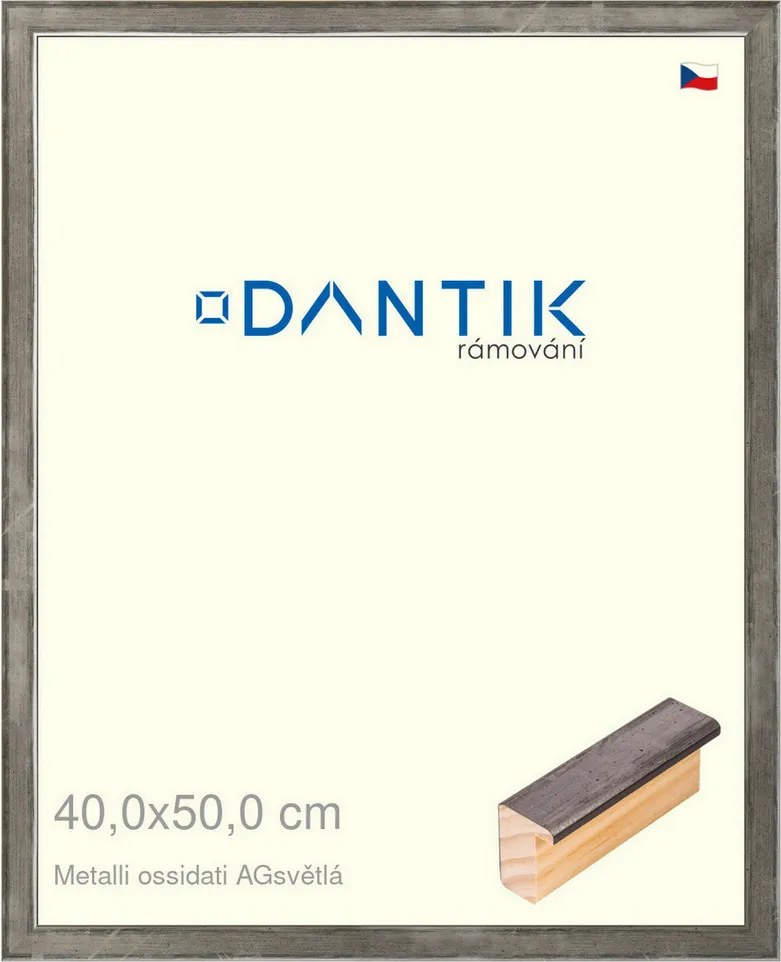 DANTIK rámeček 40x50 | Metalli oidati AGsvětlá (Sklo Čiré)