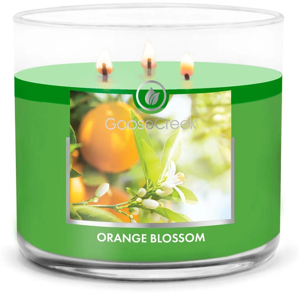 Goose Creek Candle svíčka Orange Blossom, 411 g