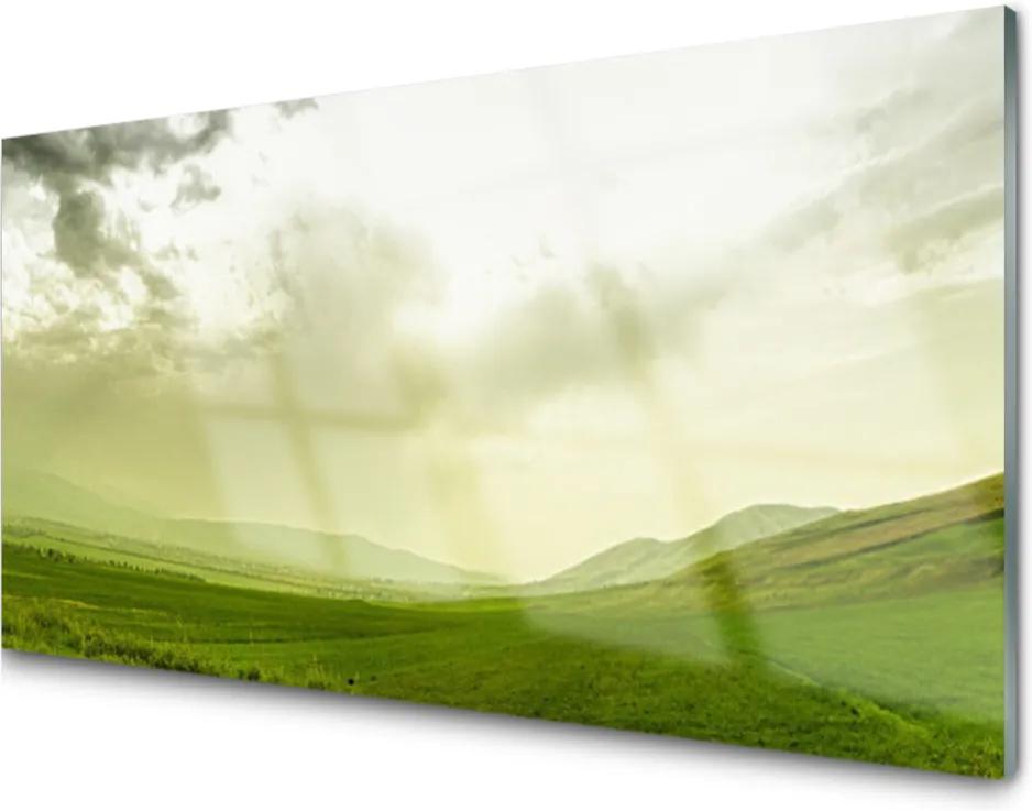 Plexisklo obraz Louka Příroda Zelený Výhled