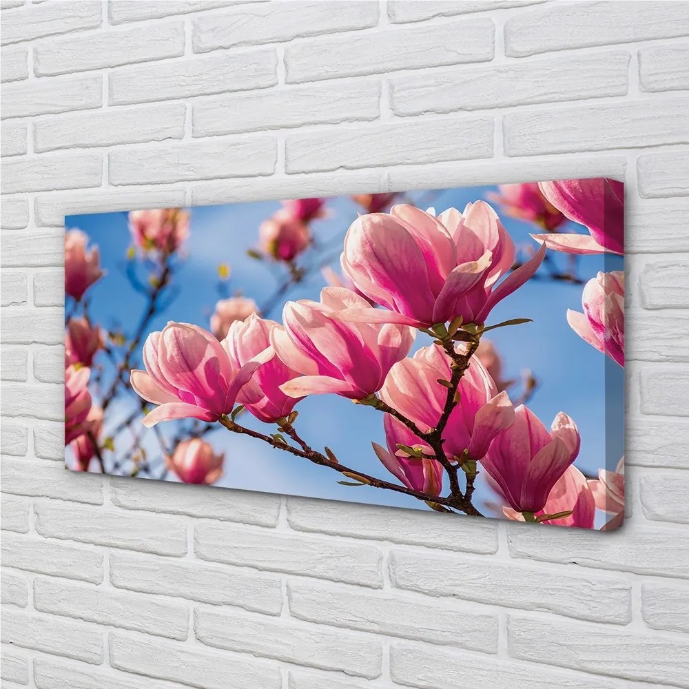 Obrazy na plátně květy 100x50 cm