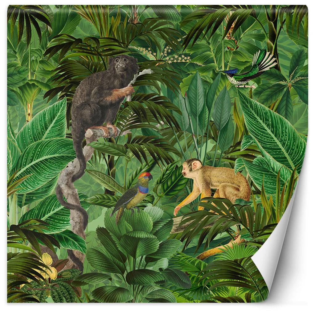 Gario Fototapeta Zvířata na pozadí zelených listů - Andrea Haase Materiál: Vliesová, Rozměry: 100 x 100 cm
