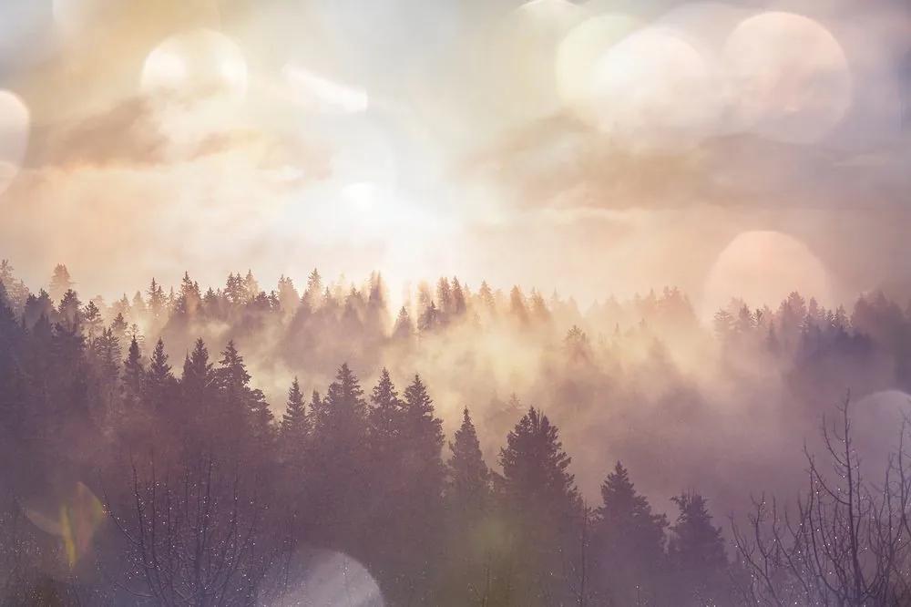 Samolepící fototapeta mlha nad lesem - 225x150 cm