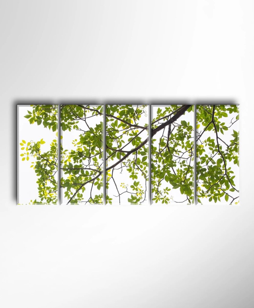 Malvis ® Obraz větev stromu ROZMĚR (šířka x výška): třídílný obdélník 90x60 cm
