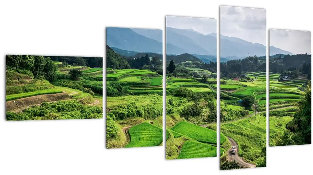 Obraz rýžových polí (110x60 cm), 40 dalších rozměrů