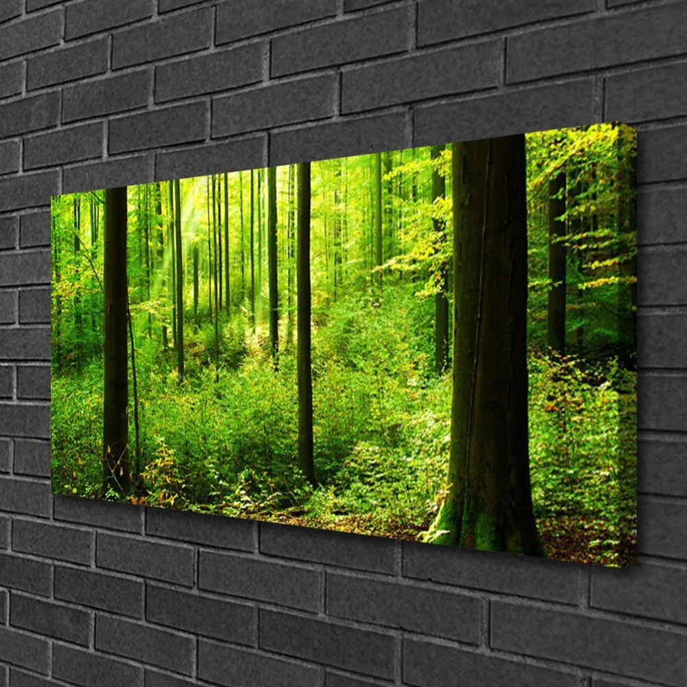 Obraz na plátně Les Zeleň Stromy Příroda 125x50 cm