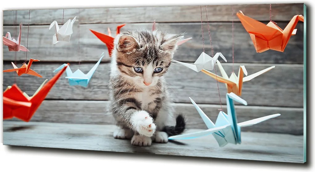 Fotoobraz na skle Kočka ptáci z papíru