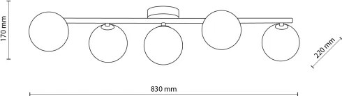 Stropní svítidlo ELYON 5xG9/40W/230V bílá/borovice
