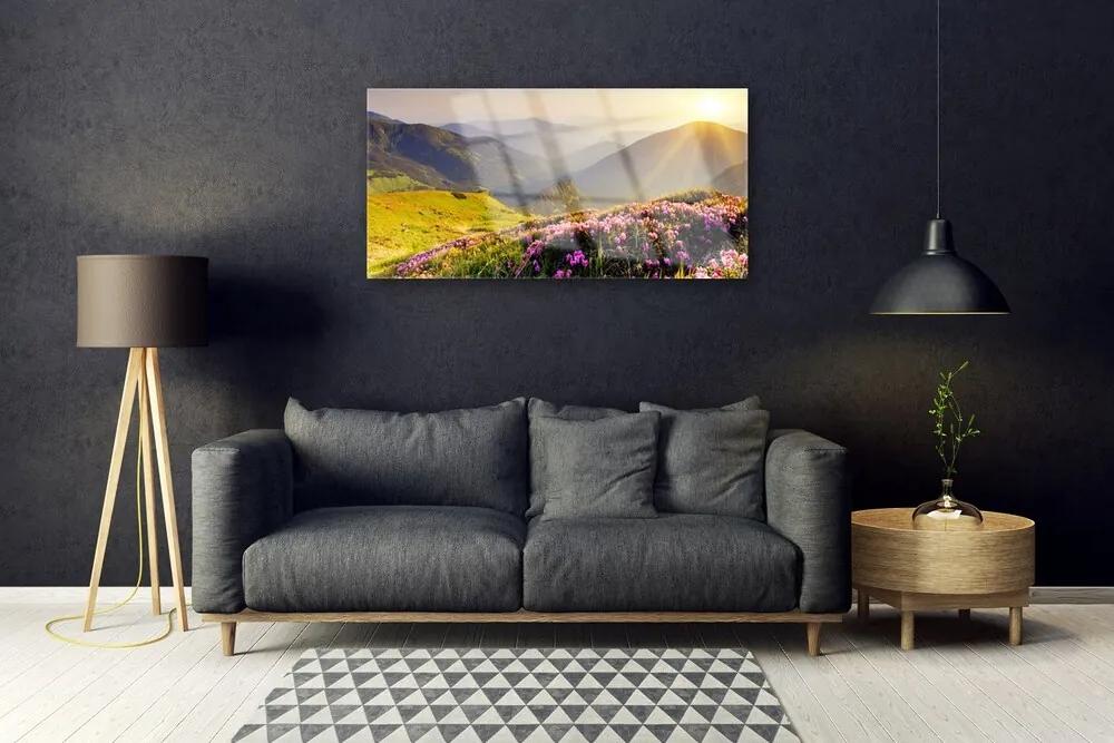 Obraz na skle Hora Louka Krajina 140x70 cm