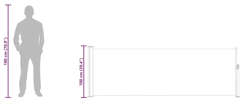 vidaXL Marketos Zatahovací boční markýza/zástěna na terasu 100 x 300 cm šedá
