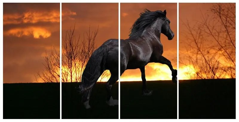 Obraz koně (160x80 cm), 40 dalších rozměrů