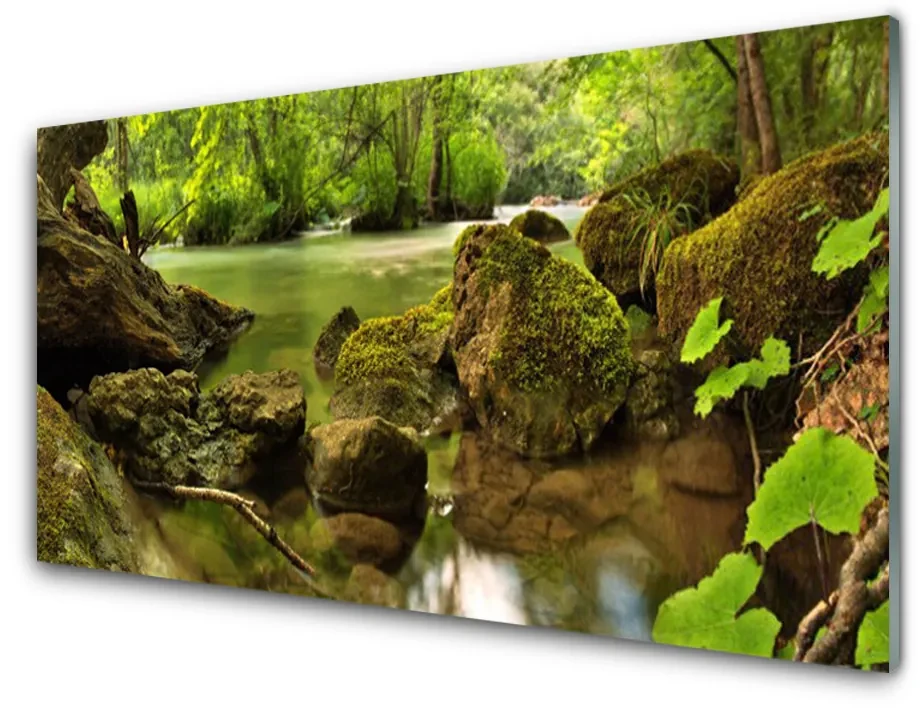 akrylový obraz Skála Jezero Příroda 100x50 cm | BIANO
