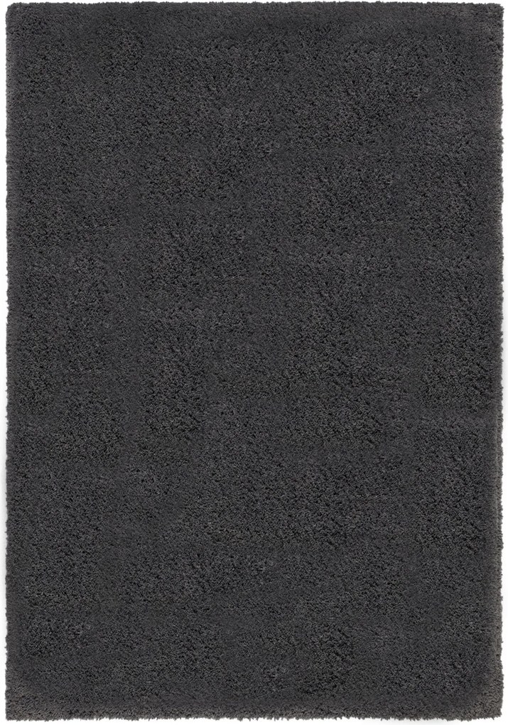 Kusový koberec Shaggy Teddy Charcoal, 120x170, šedá, obývacia izba, Flair Rugs