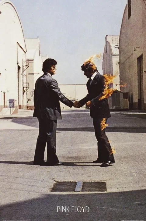 Plakát, Obraz - Pink Floyd - Wish You Were Here, (61 x 91.5 cm)