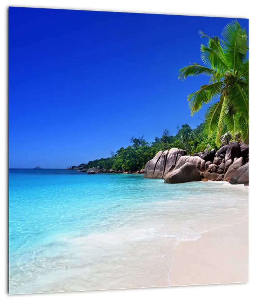 Obraz pláže na Praslin ostrově (30x30 cm)