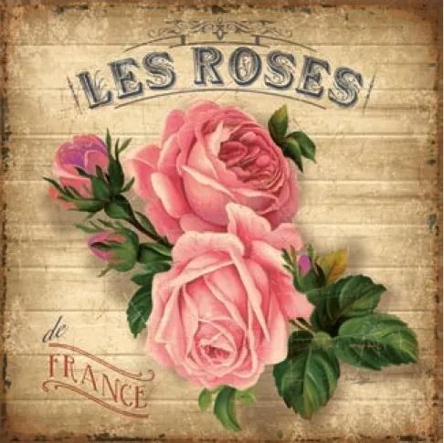 ART-STYLE Obrázek 30x30, rose france, rám bílý s patinou