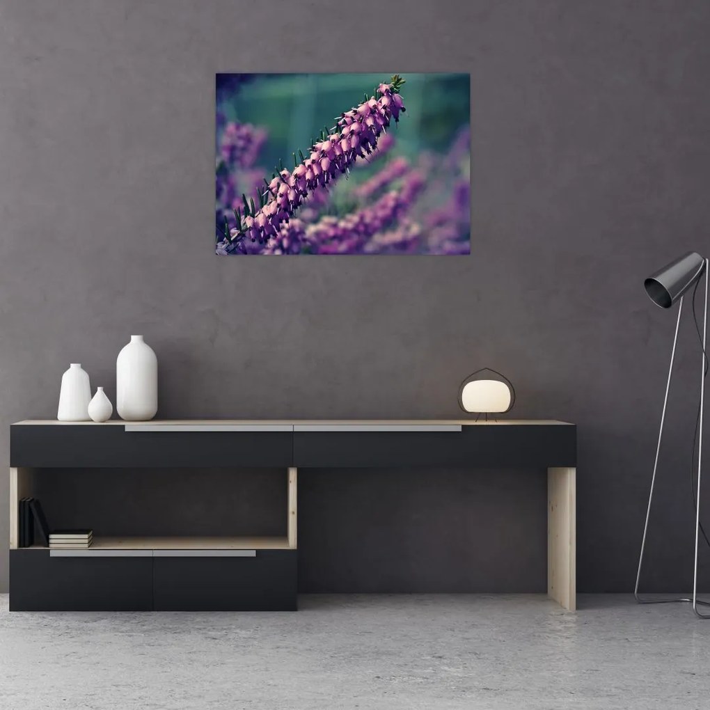 Skleněný obraz levandule (70x50 cm)