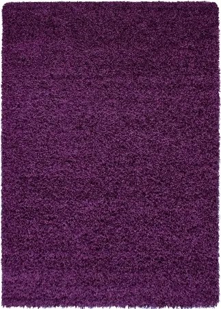 Koberce Breno Kusový koberec DREAM SHAGGY 4000 Lila, Fialová, 160 x 230 cm