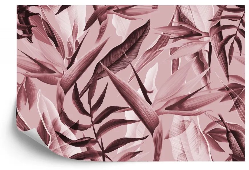 Fototapeta Tropicalia Pink Hladký vinyl 180x120