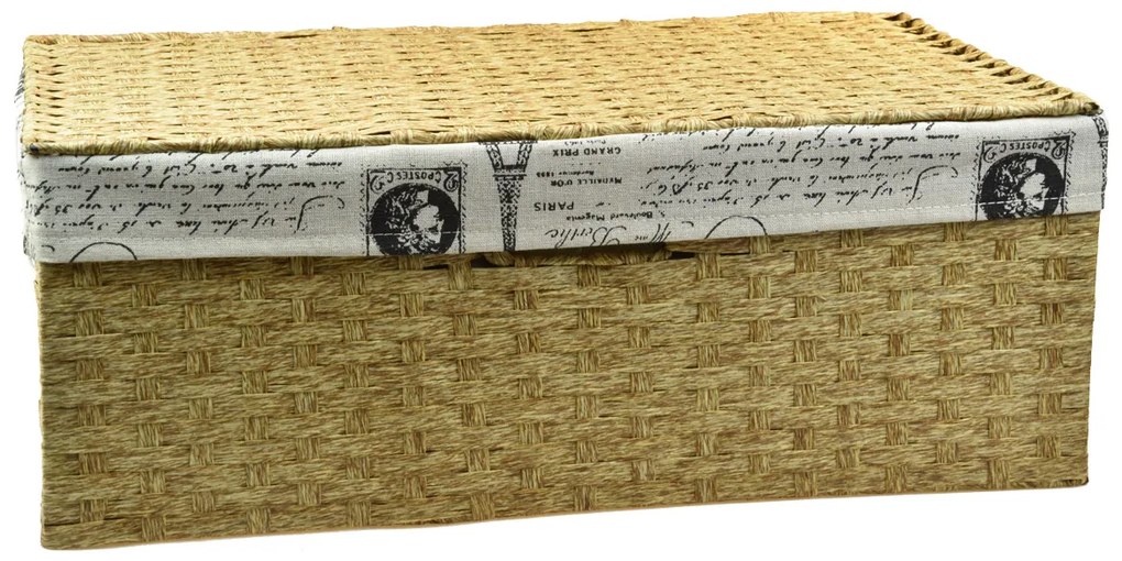 Vingo Úložný box s víkem s látkou PARIS Rozměry (cm): 53x33, v. 19