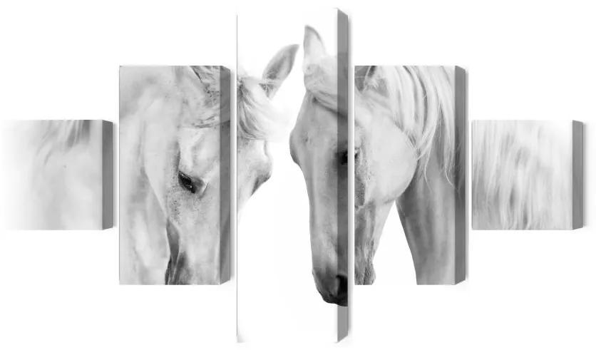 Vícedílný obraz Dva Koně Na Bílém Pozadí Nedostatek Nedostatek Plátno Canvas 250x150