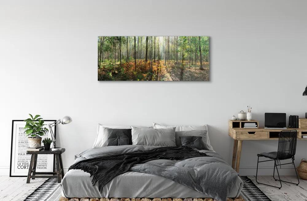 akrylový obraz Les bříza 120x60 cm