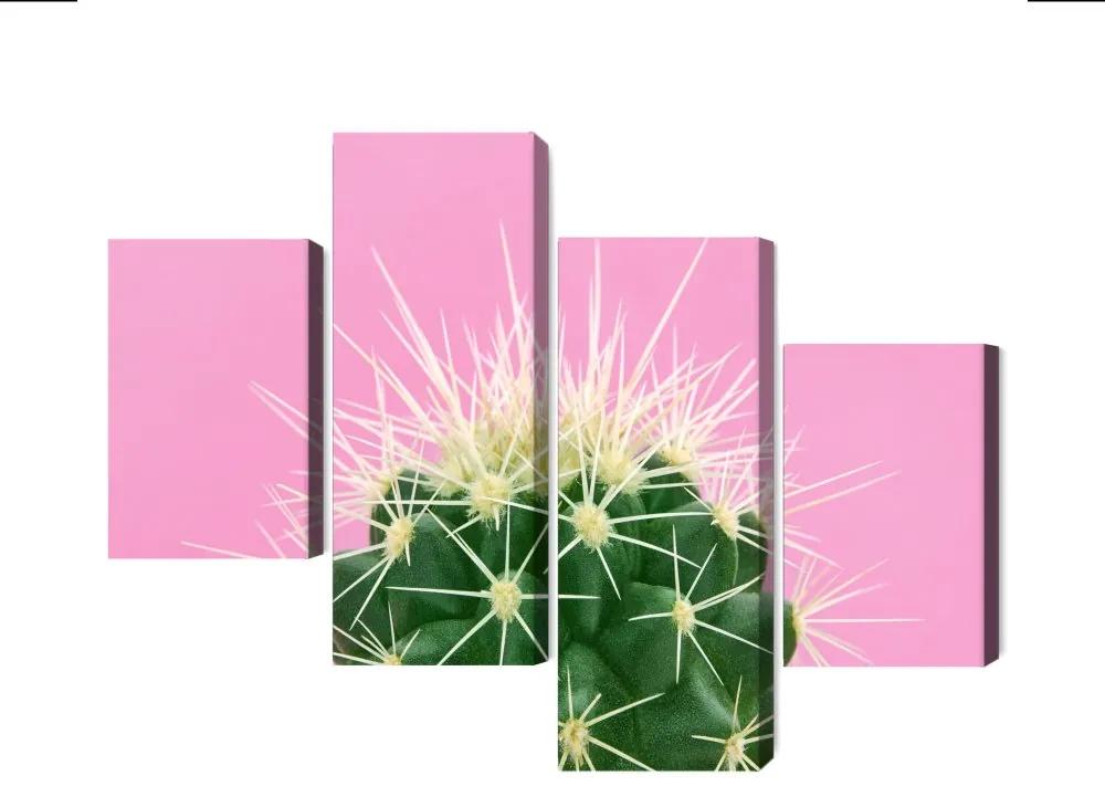 Vícedílný obraz Kaktus Na Růžovém Pozadí Nedostatek Nedostatek Přírodní plátno 80x50