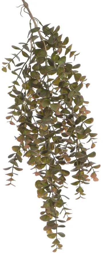 převis eukalyptus 81 cm - zelená s vínovou