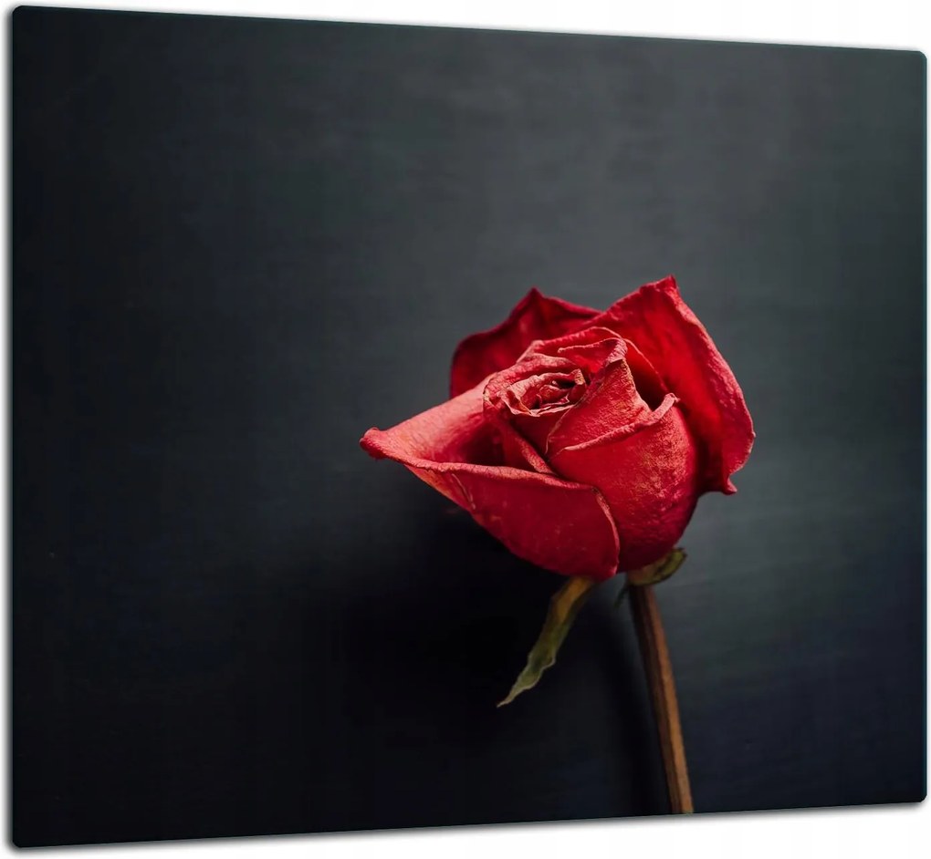 Skleněná Ochranná Deska Panel Lepidlo 65x60 Růže Tvrzené sklo 7v1