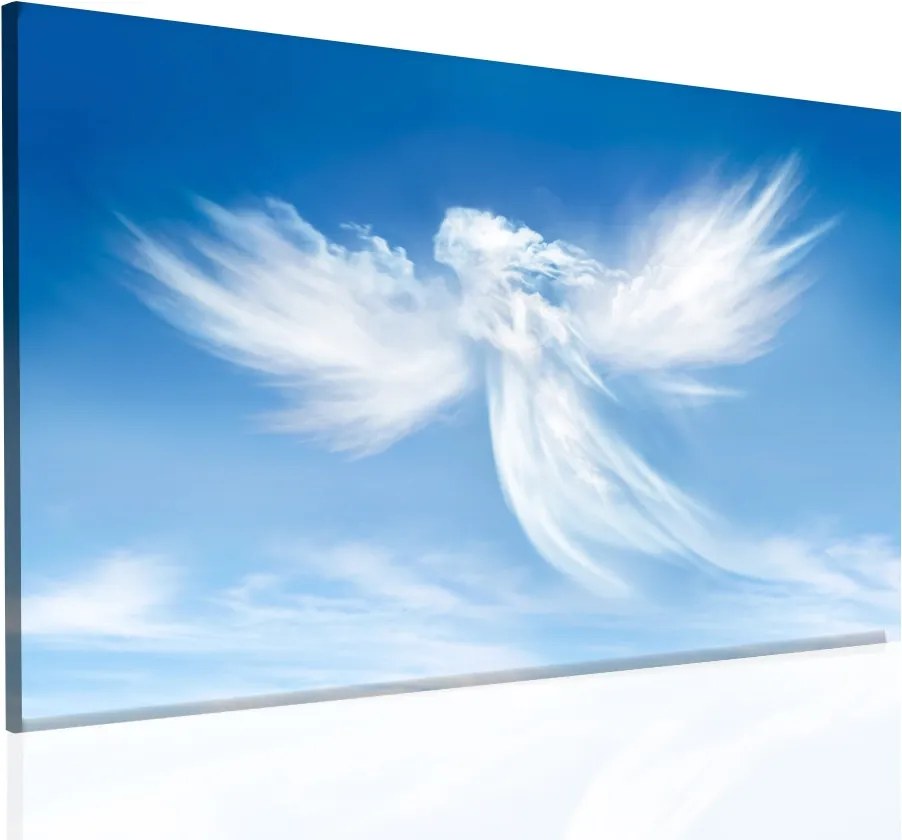 Andělské zjevení (90x60 cm) - InSmile ®