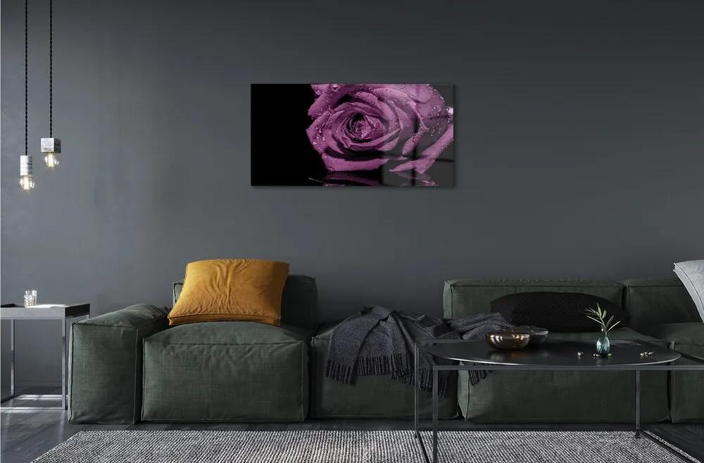 Obraz na skle Purpurová růže 140x70 cm