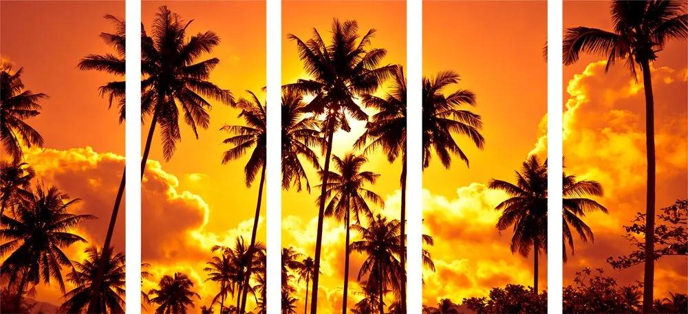 5-dílný obraz kokosové palmy na pláži Varianta: 100x50