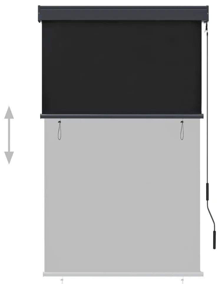 vidaXL Marketos Venkovní roleta 100 x 250 cm antracitová