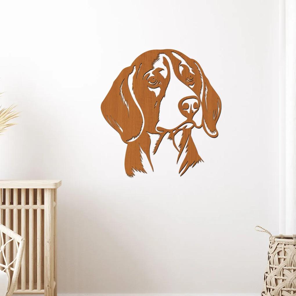 dřevo života Dřevěný obraz psa Bígl Rozměry (cm): 56x60, Barevný vzor: Borovice - limitovaná edice