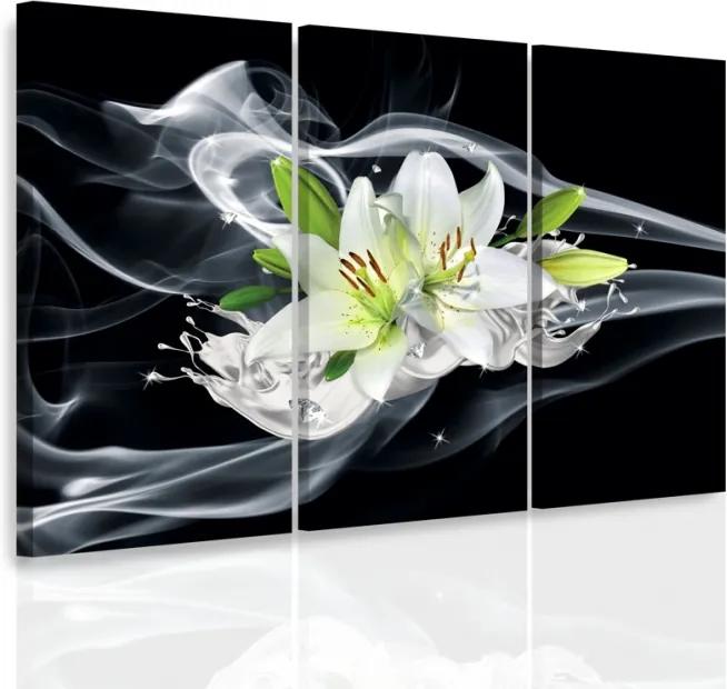 Vícedílný obraz - Lilie a diamanty (90x60 cm) - InSmile ®