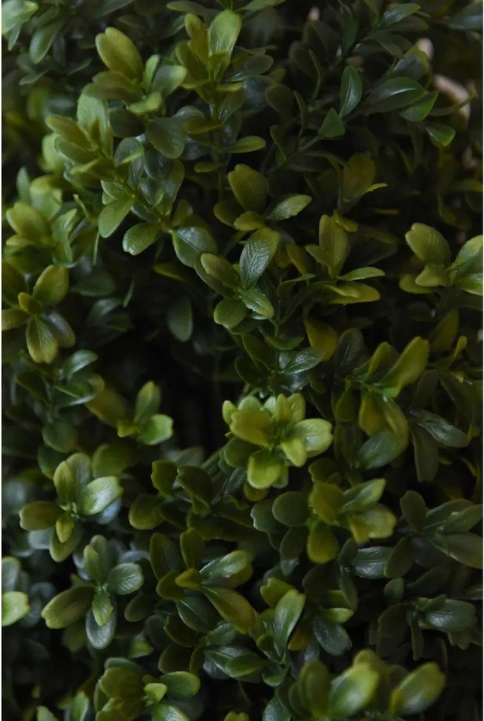 Umělý buxus BUXA, plast, výška 70 cm, zelený