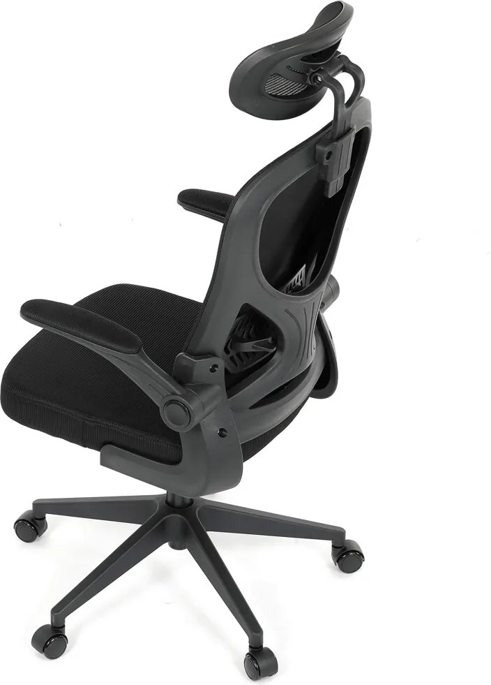 Ergonomická kancelářská židle ALEXANDRE - černá síťovina