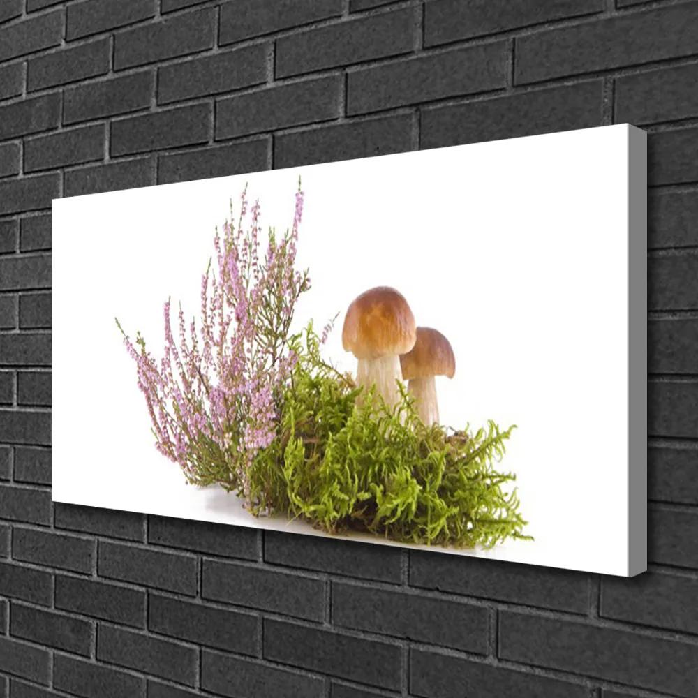 Obraz na plátně Houby Rostlina Příroda 100x50 cm
