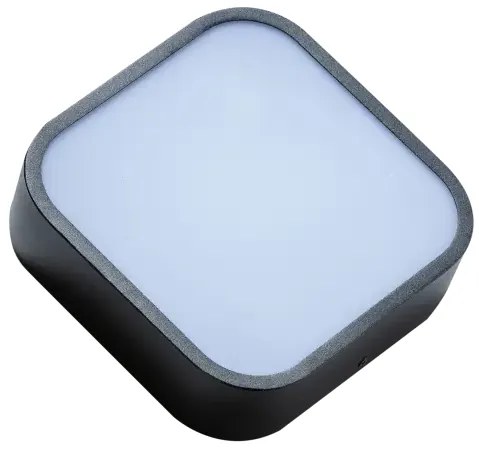 Stropní svítidlo Lucie 25 černé